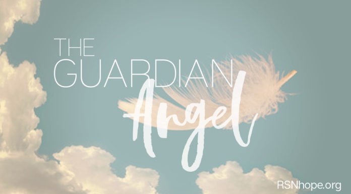 Blog | Renal Support Network