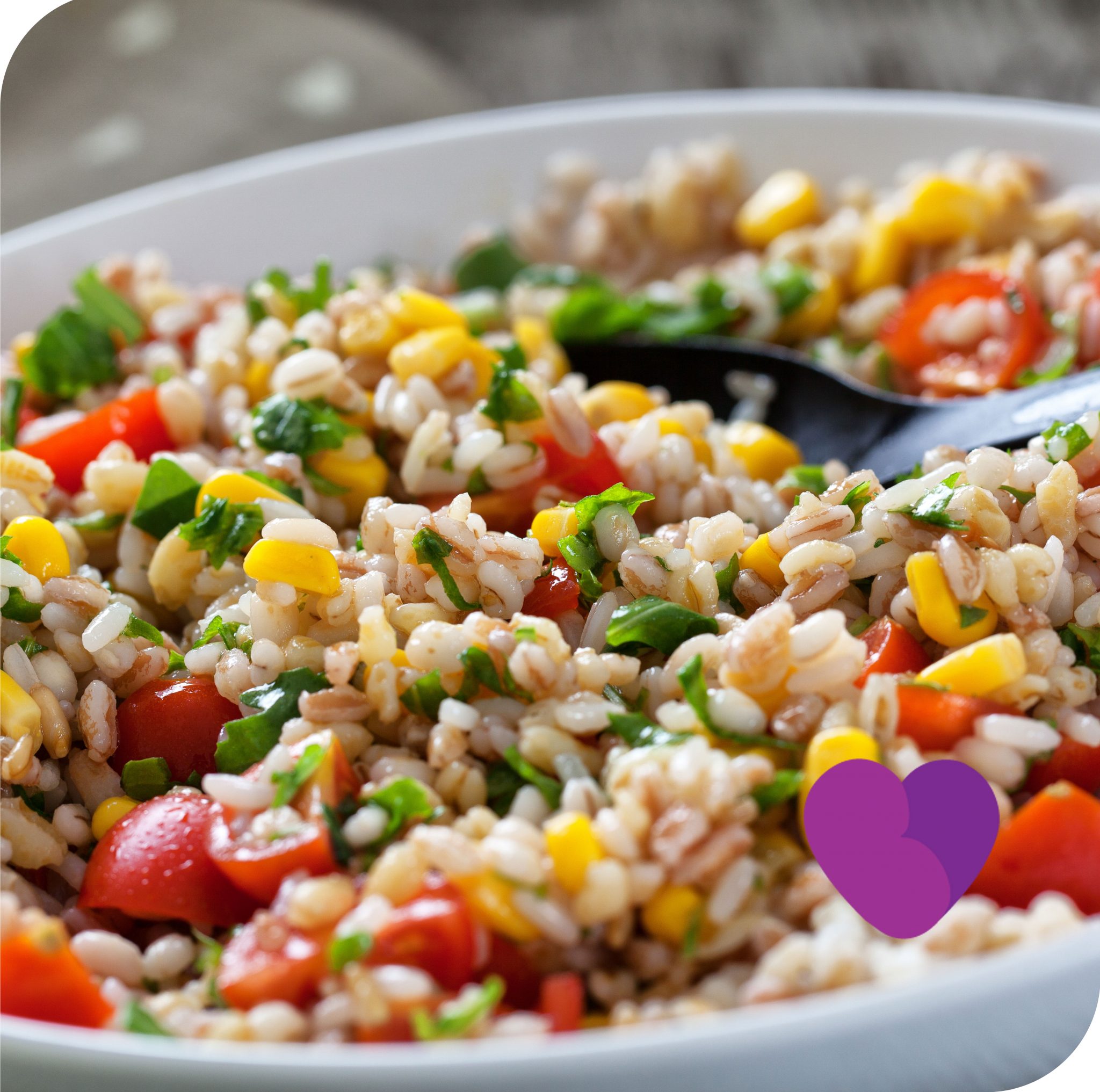 Kidney-Friendly Summer Recipe Collection - Renal Support Network